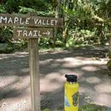 Maple Valley Loop, Washington - 174 Reviews, Map | AllTrails