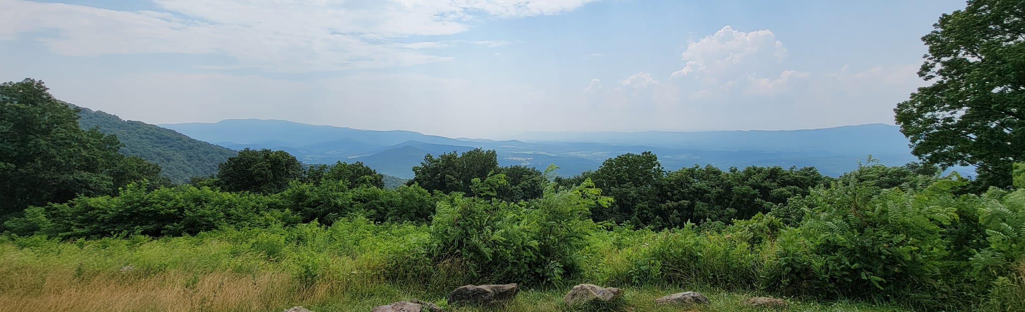 Snead Farm via Dickey Ridge Trail Loop: 361 Reviews, Map - Virginia ...