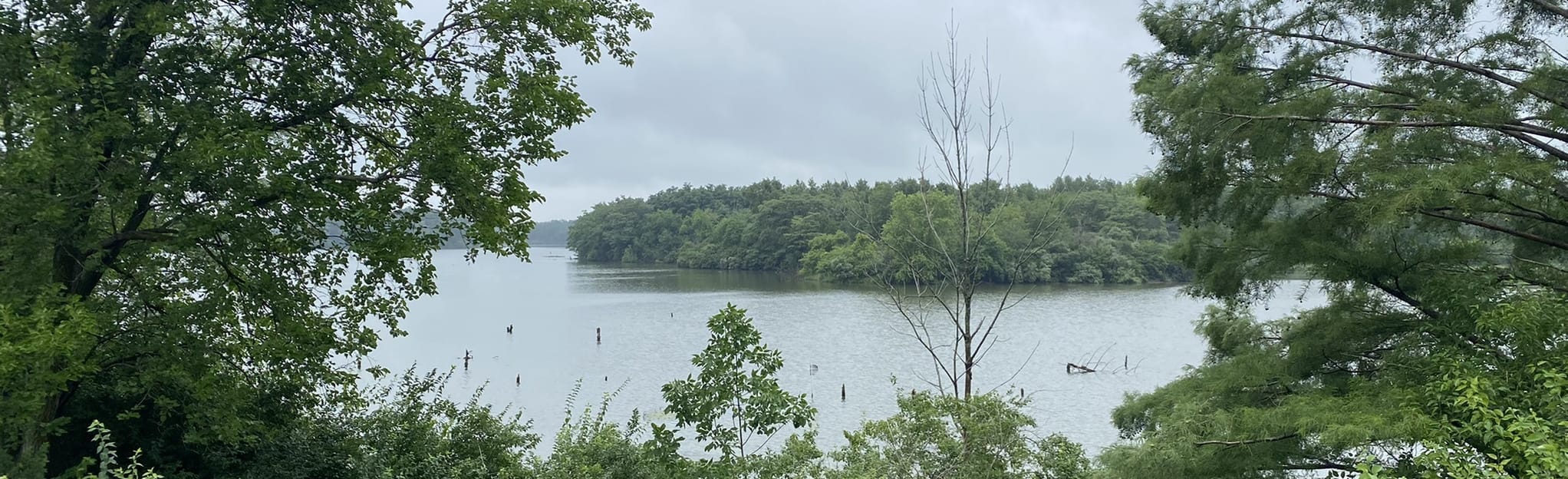 Shady Hollow Trail Loop, Illinois - 490 Reviews, Map | AllTrails