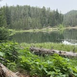 Whits Lakes Spring, Montana - 131 Reviews, Map | AllTrails