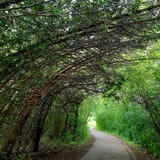 Toogood Pond Loop, Ontario, Canada - 532 Reviews, Map | AllTrails