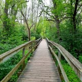 Toogood Pond Loop, Ontario, Canada - 532 Reviews, Map | AllTrails