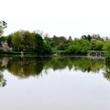 Toogood Pond Loop, Ontario, Canada - 532 Reviews, Map | AllTrails