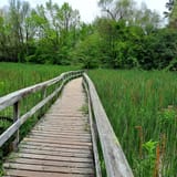 Toogood Pond Loop, Ontario, Canada - 532 Reviews, Map | AllTrails