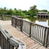 Toogood Pond Loop, Ontario, Canada - 532 Reviews, Map | AllTrails