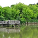 Toogood Pond Loop, Ontario, Canada - 532 Reviews, Map | AllTrails