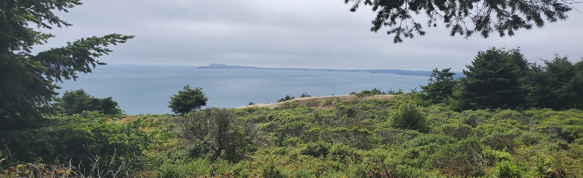 Bear Valley, Coast Trail, Greenpicker, Rift Trail, California - 40 ...