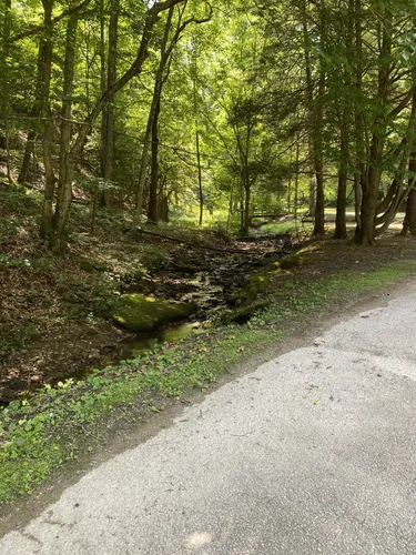 Best Easy Trails in Kanawha State Forest | AllTrails