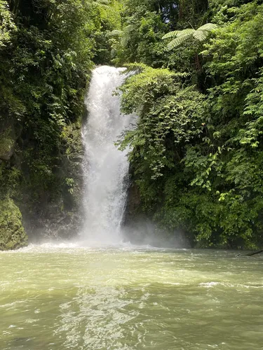 2023 Best Trails, Walks, and Paths in Pangil | AllTrails