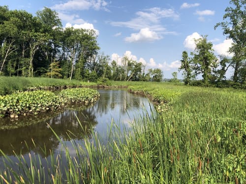Best Hikes and Trails in Belle Haven Park | AllTrails