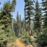 Mt. Elwell and Long Lake Loop, California - 114 Reviews, Map | AllTrails