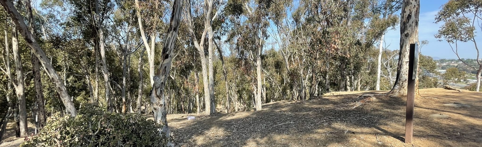 Hosp Grove Trail East, California - 186 Reviews, Map | AllTrails