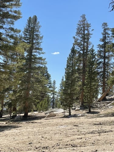 2023 Best Hot Springs Trails in Lone Pine | AllTrails