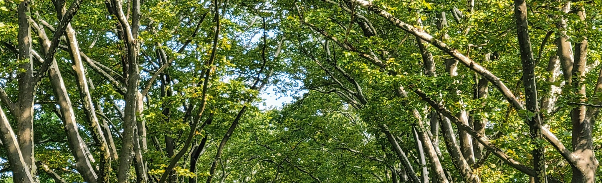 Unami Park Trail, New Jersey - 19 Reviews, Map | AllTrails