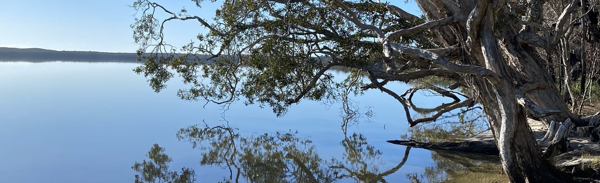 Lake Weyba Foreshore, Queensland, Australia - 17 Reviews, Map | AllTrails