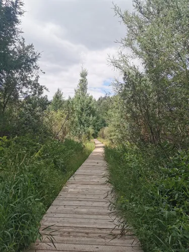 10 Best Walking Trails in Devon | AllTrails