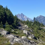 Mount Robie Reid Trail, British Columbia, Canada - 93 Reviews, Map ...