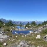 Mount Robie Reid Trail, British Columbia, Canada - 93 Reviews, Map ...