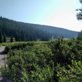 Shrine Pass Road, Colorado - 139 Reviews, Map | AllTrails
