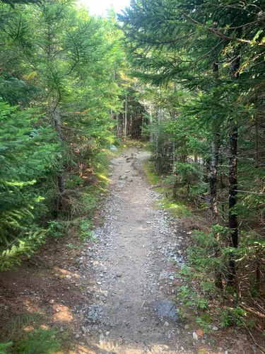 Best Hikes and Trails in Pinkham Notch Scenic Area | AllTrails