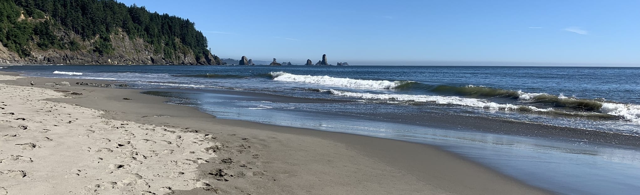 Third Beach Trail to Taylor Point, Washington - 812 Reviews, Map ...