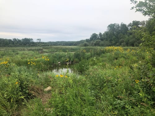 Turtle Mountain Provincial Park: de 10 beste wandelingen en routes ...