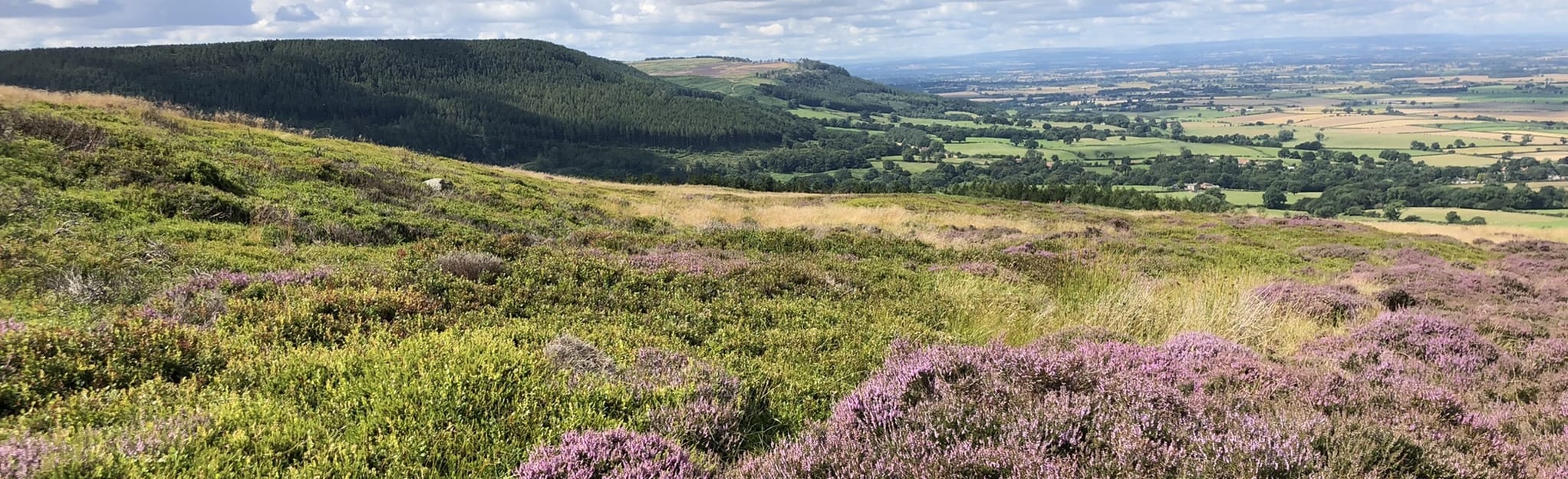 Cleveland Way: Osmotherley to Clay Bank Top, North Yorkshire, England ...