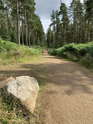 Best Trails, Walks, and Paths in Bellingham | AllTrails