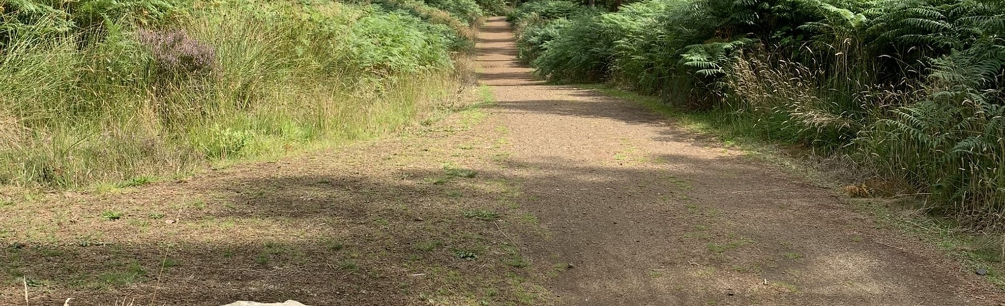 Greenhaugh Circular, Northumberland, England - 8 Reviews, Map | AllTrails