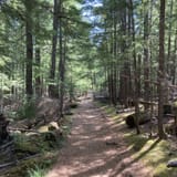 Upper Priest Lake Navigation Trail, Idaho - 176 Reviews, Map | AllTrails