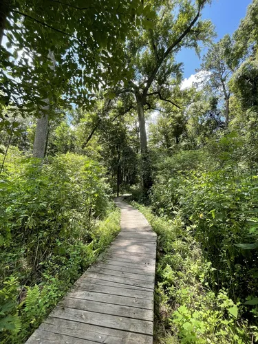Best Hikes and Trails in Elinor Klapp-Phipps Park | AllTrails