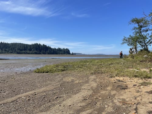 2023 Best Kid Friendly Trails in Willapa National Wildlife Refuge ...
