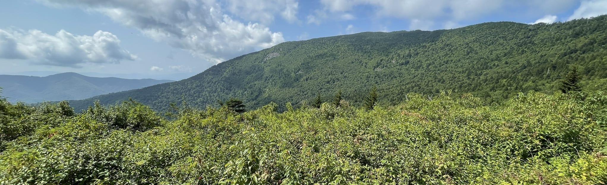 Buncombe Horse Trail, Mount Mitchell, Deep Gap, and Colbert Ridge Loop ...