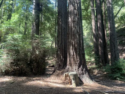 Best Hikes and Trails in Indian Tree Open Space Preserve | AllTrails