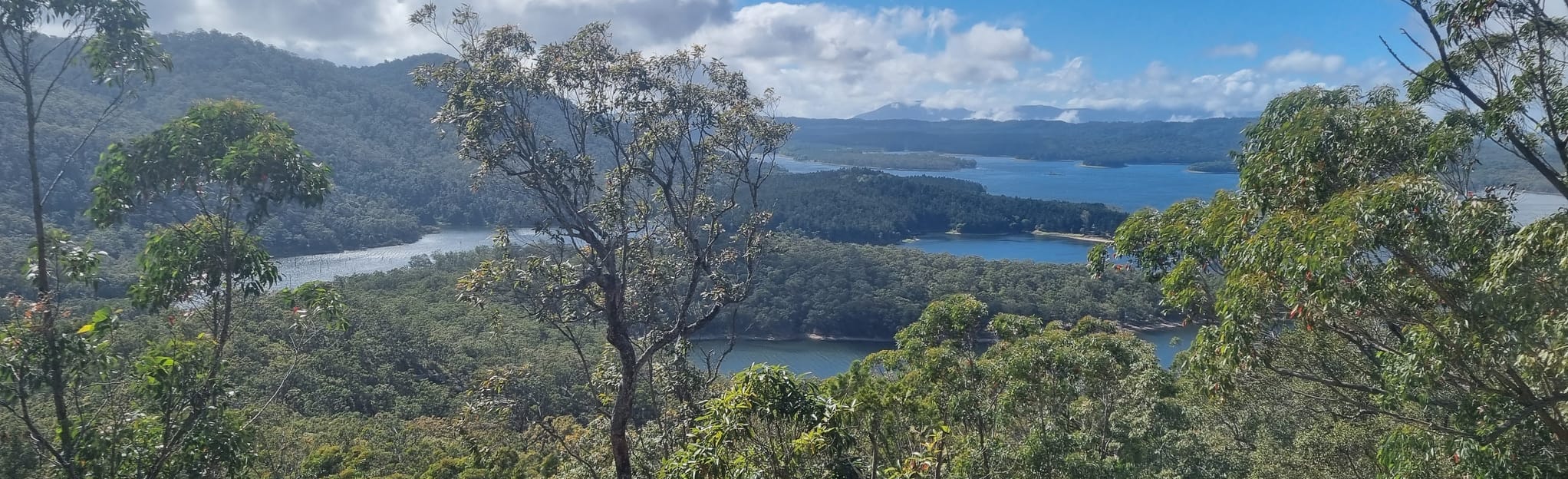 Torpedo Track to Lake Tinaroo Lookout - Queensland, Australia | AllTrails