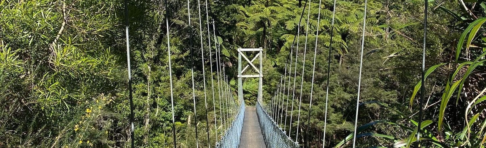 Waitawheta Hut via Waitawheta Tramway Track, Waikato, New Zealand - 84 ...