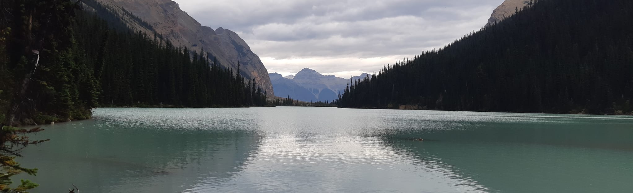 Fryatt Valley Trail via Lower Fryatt Campsite, Alberta, Canada - 19 ...