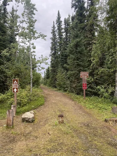 Best Forest Trails in Harding Lake State Recreation Area | AllTrails