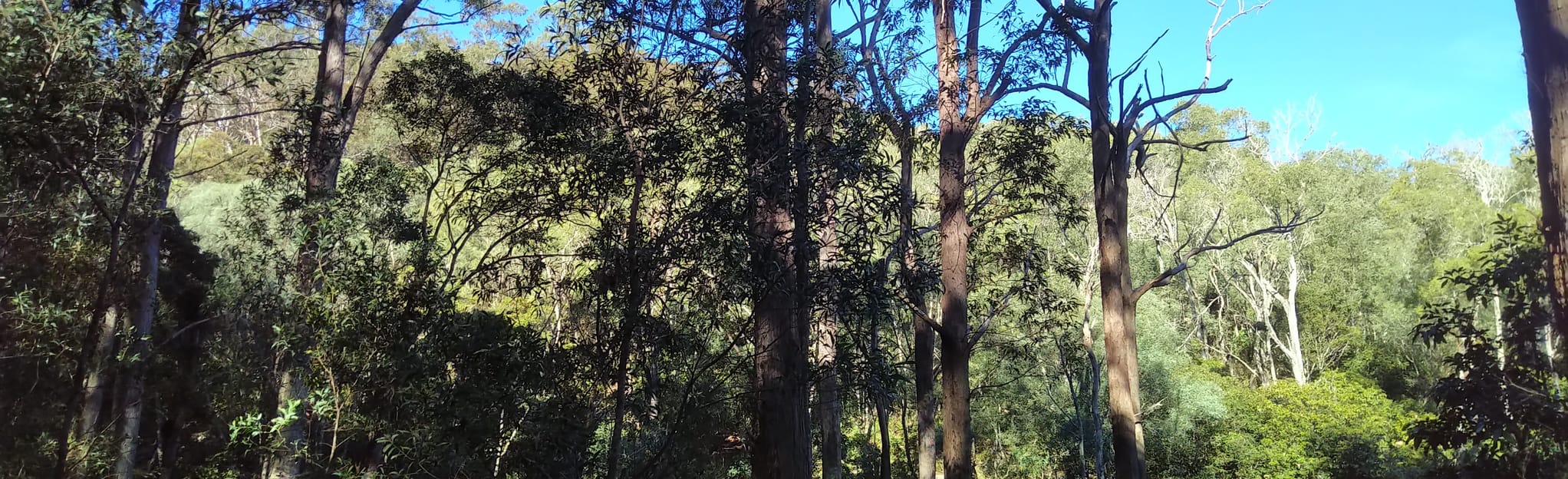 Metamorphic and Escalade, Queensland, Australia - 21 Reviews, Map ...