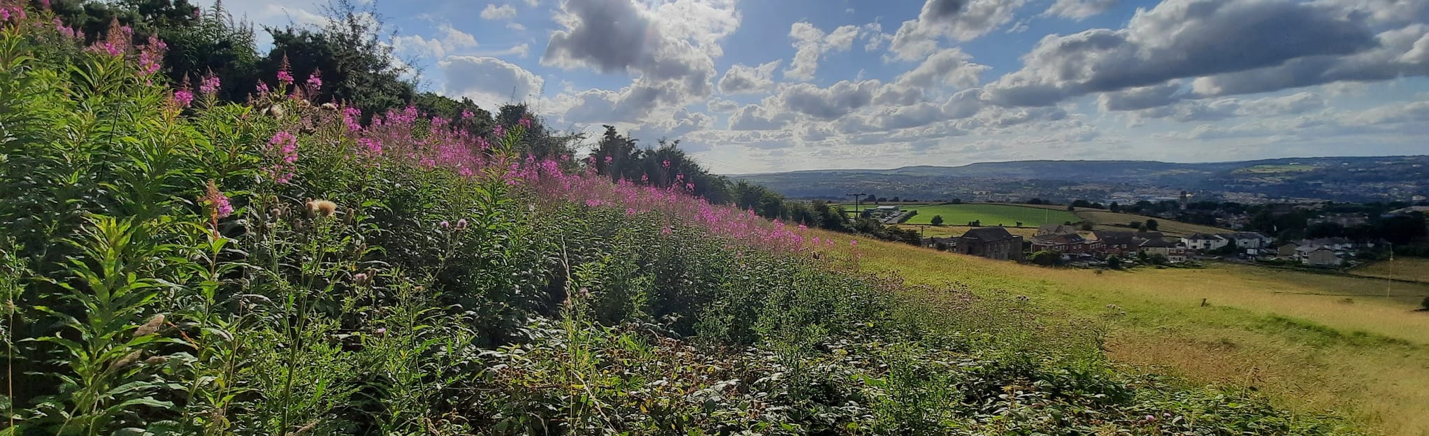 Almondbury and Castle Hill Circular, West Yorkshire, England - 92 ...