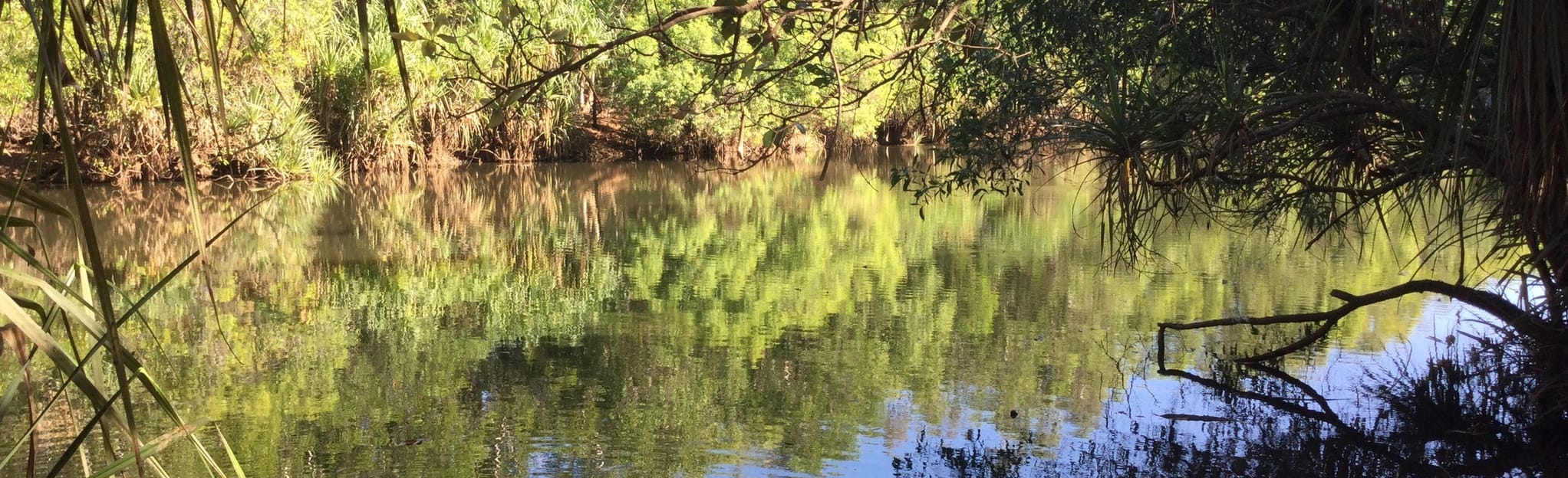 Mary River Billabong Walk, Northern Territory, Australia - 7 Reviews ...