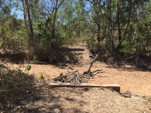 Best Hikes and Trails in Mary River National Park | AllTrails