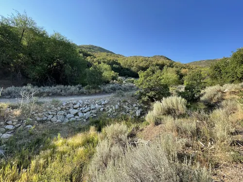 10 Best Hikes and Trails in Corner Canyon Regional Park | AllTrails