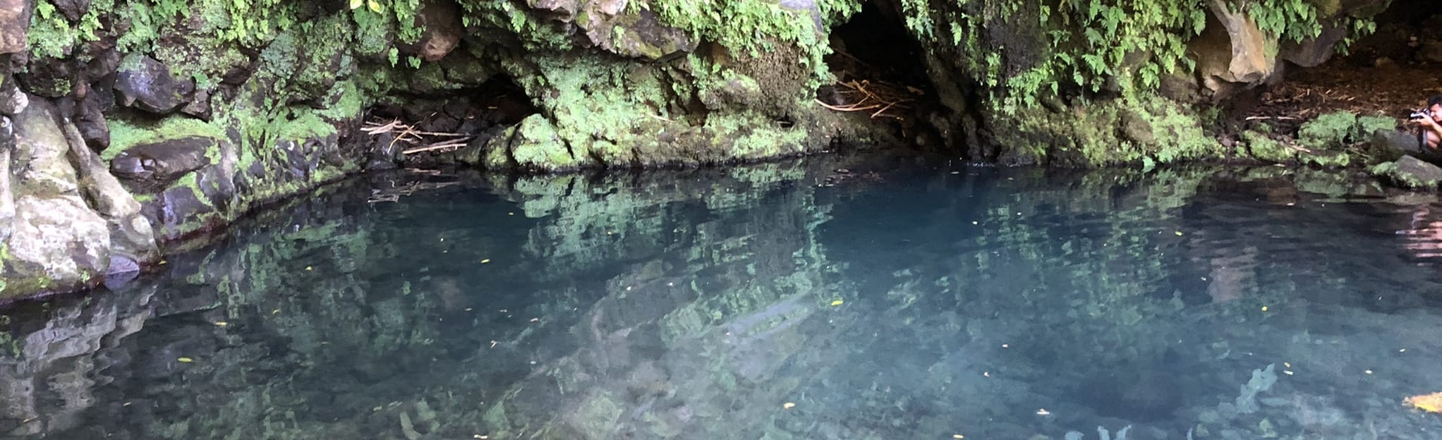 Blue Well Trail | Mapa, Roteiro - Azores, Portugal | AllTrails