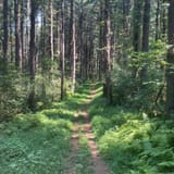 Prettyboy Trail, Maryland - 114 Reviews, Map | AllTrails