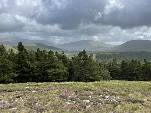 Best 10 Hiking Trails in Wild Nephin National Park | AllTrails