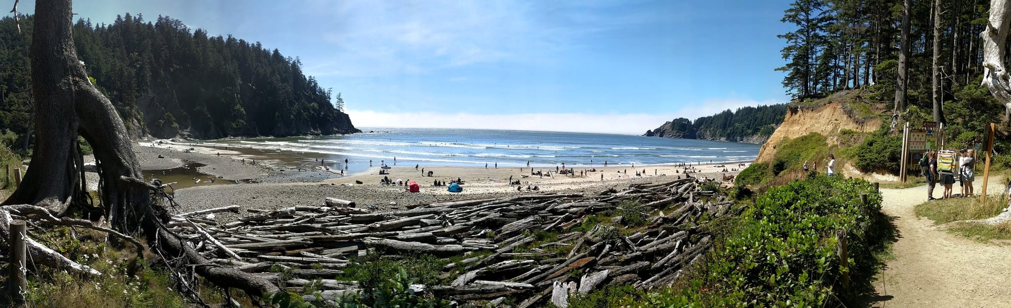 Short Sands Beach via Cape Falcon Trail: 602 foto - Oregon | AllTrails