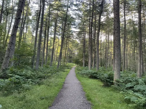 Best Hikes and Trails in Hazlehead Park | AllTrails