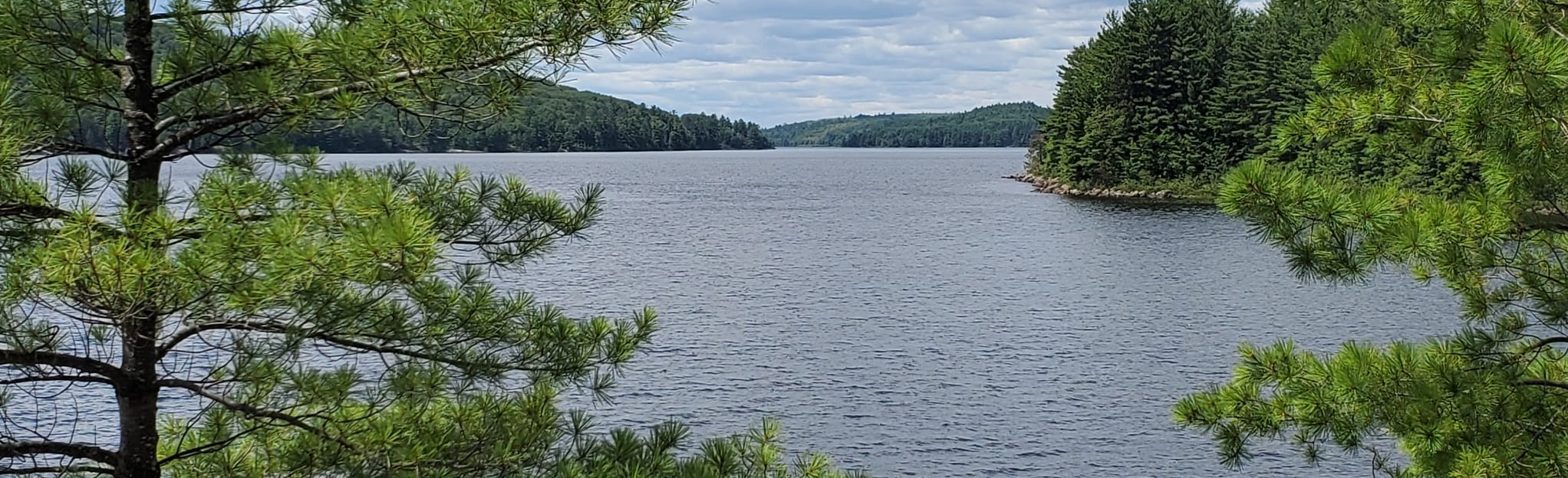 Jack Pine Trail: 16 Reviews, Map - Ontario, Canada | AllTrails