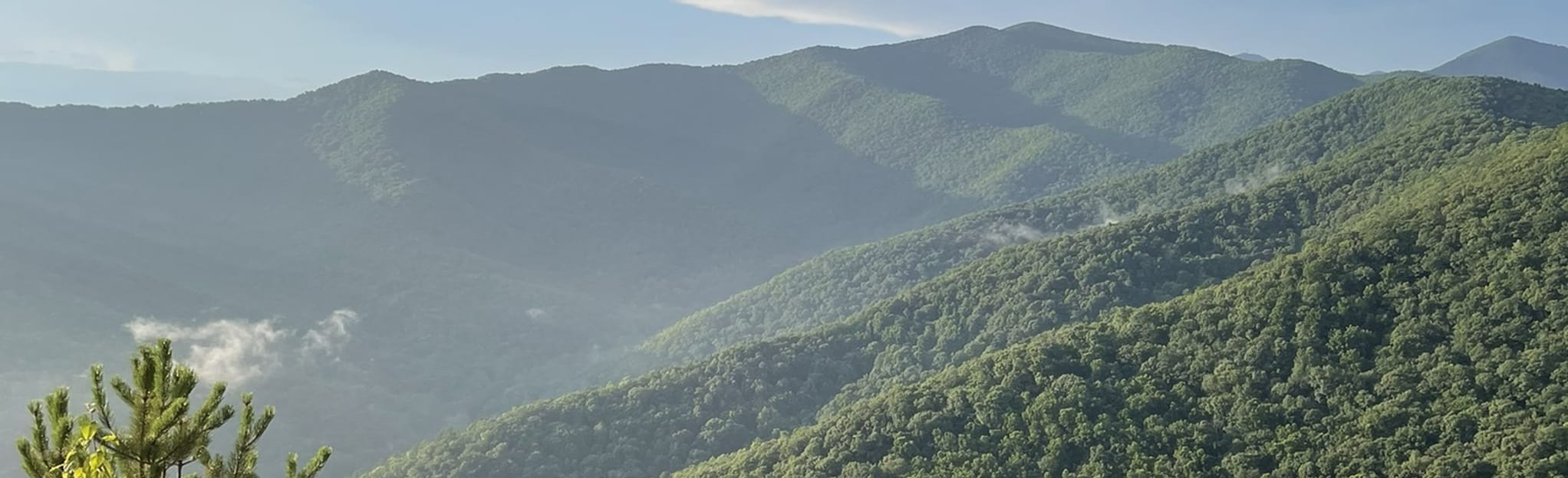 Montreat Gate Trail to Lake Susan, North Carolina - 689 Reviews, Map ...